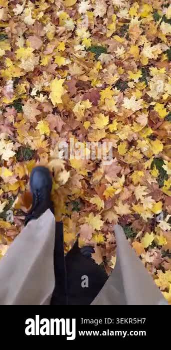 Feet of woman in black chunky boots and trench walking on the fallen ...