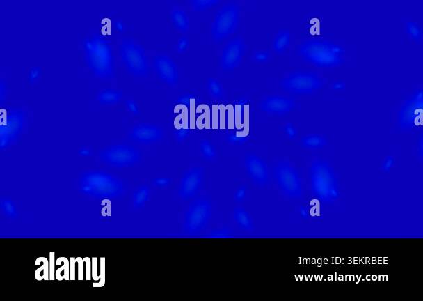 light blue, red vector backdrop with dots Stock Video Footage - Alamy