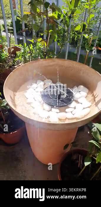 Solar fountain on the balcony with green plants and blooming flowers ...