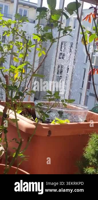 Solar fountain on the balcony with green plants and blooming flowers ...