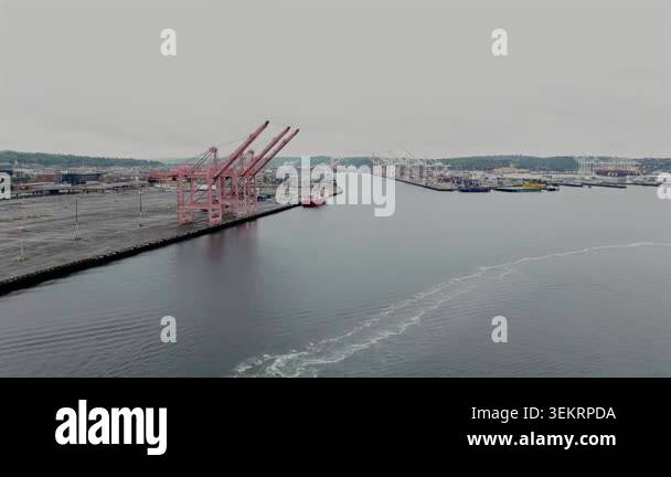 Aerial drone view of Seattle port with cargo cranes industrial ...