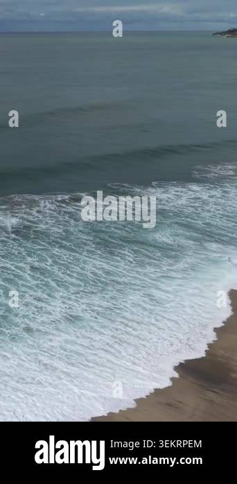 Sea sky trees.Ocean waves coast. High quality 4k footage Stock Video ...