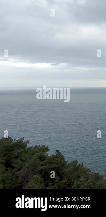 Sea sky trees.Ocean waves coast. High quality 4k footage Stock Video ...