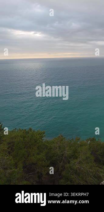 Ocean horizon trees. High quality 4k footage Stock Video Footage - Alamy