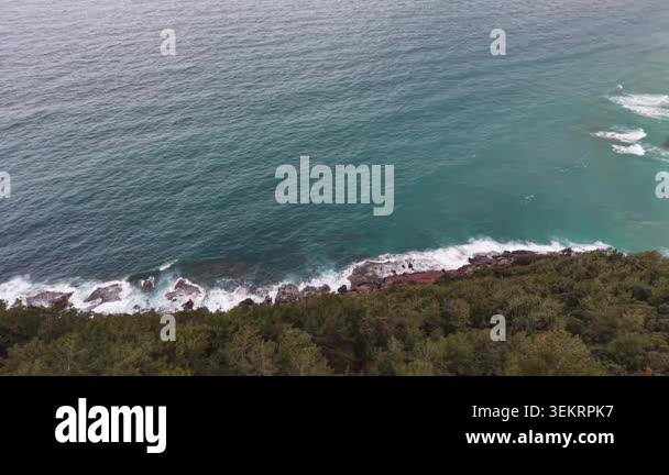 Sea sky trees.Ocean waves coast. High quality 4k footage Stock Video ...