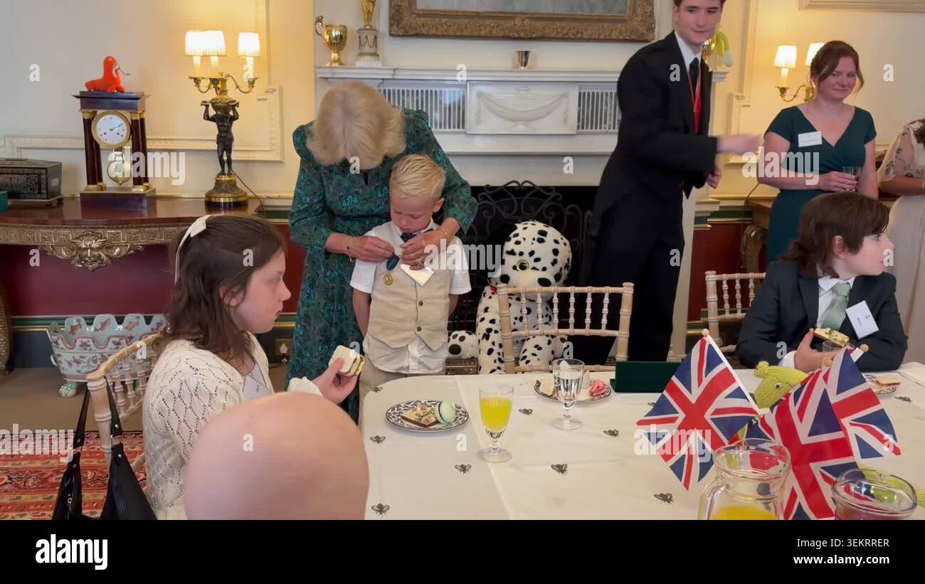 Seriously ill boy gets Queen to present his bravery medal from Scouts ...