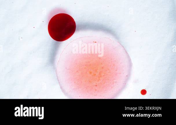 Pink and red ink drops depicting biological cell multiplication or ...