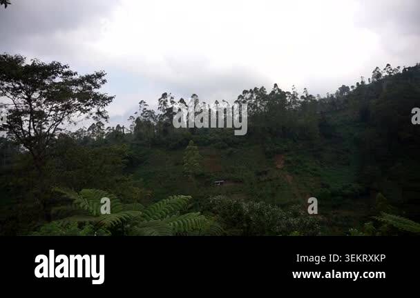 Scenic view of an agricultural hill landscape with cloudy mountains in ...