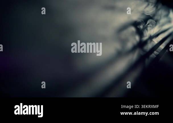 abstract background with bokeh lights Stock Video Footage - Alamy