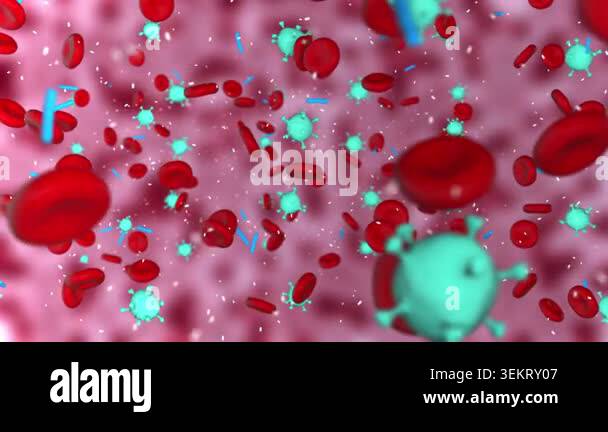 red blood cells with blood cells, illustration, rendering Stock Video ...