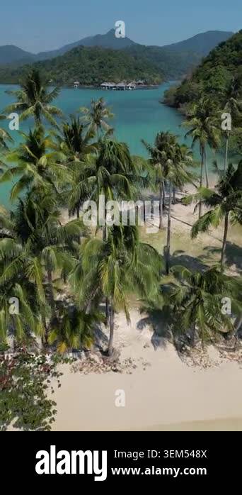 Cinematic drone flight over a tropical beach with white sand, revealing ...