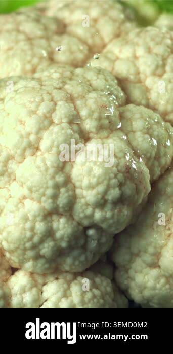 Raindrops fall on cauliflower. Filmed on a high-speed camera at 1000 ...