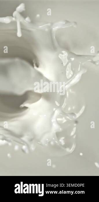 Splashes from a drop of milk. Filmed on a high-speed camera at 1000 fps ...
