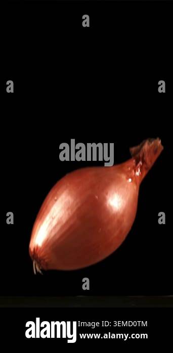 Onion falls in water. Filmed is slow motion 1000 fps. High quality ...