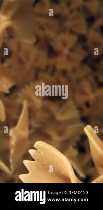 Farfale pasta falls down. Filmed on a high-speed camera at 1000 fps ...