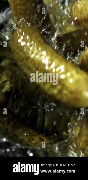 Pickled cucumbers fall with splashes. Filmed on a high-speed camera at ...