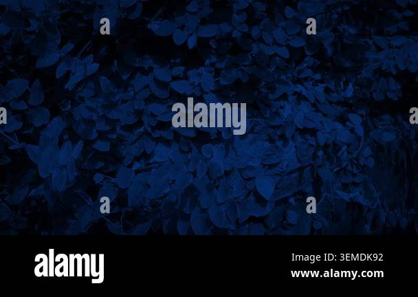 Overgrown Rock Face At Night Stock Video Footage - Alamy