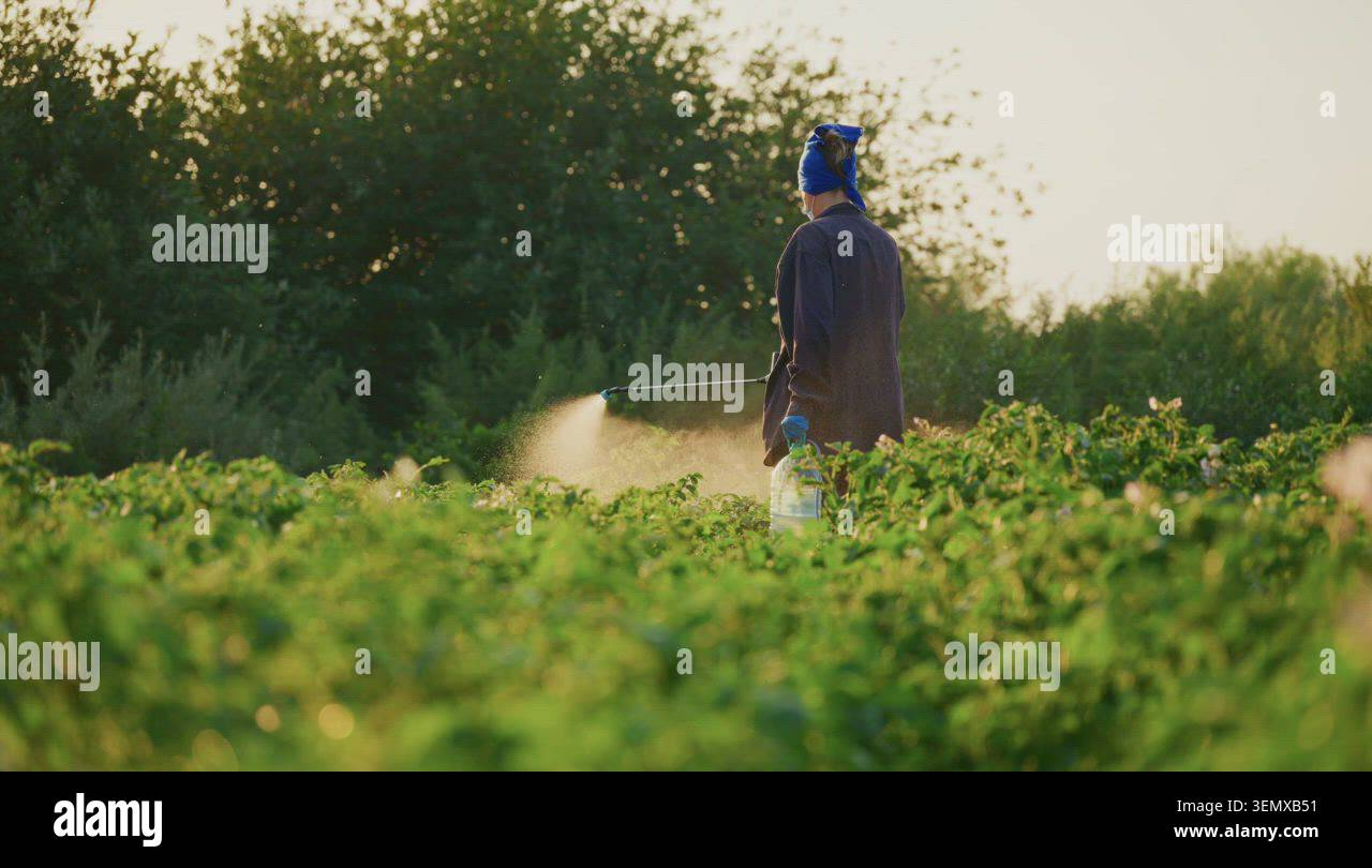Person in field treating plants with sprayer Stock Video Footage - Alamy