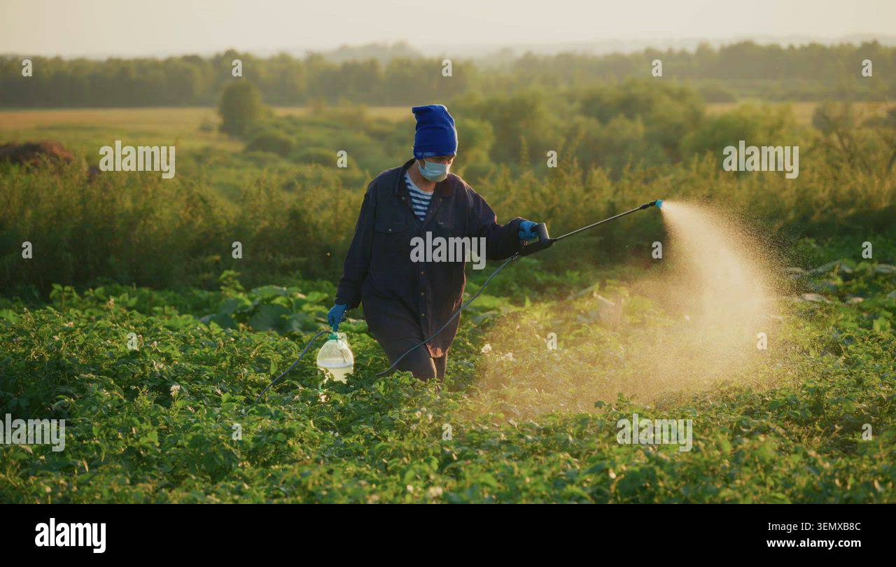 Person in field treating plants with sprayer Stock Video Footage - Alamy