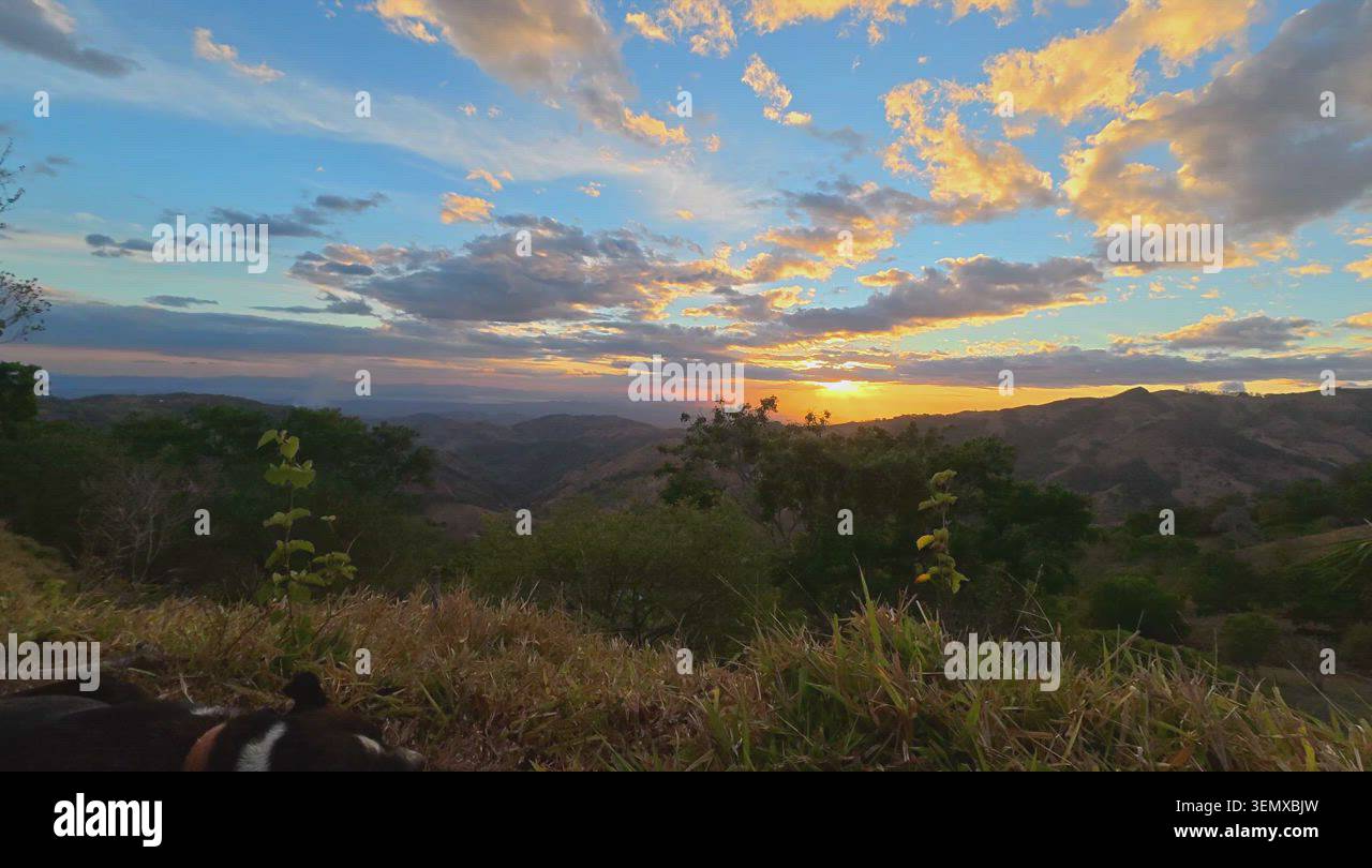 Relaxing sunset view over mountain landscape with dog resting Stock ...