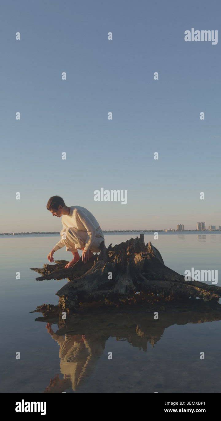 Woman touching calm water from driftwood at sunrise Stock Video Footage ...