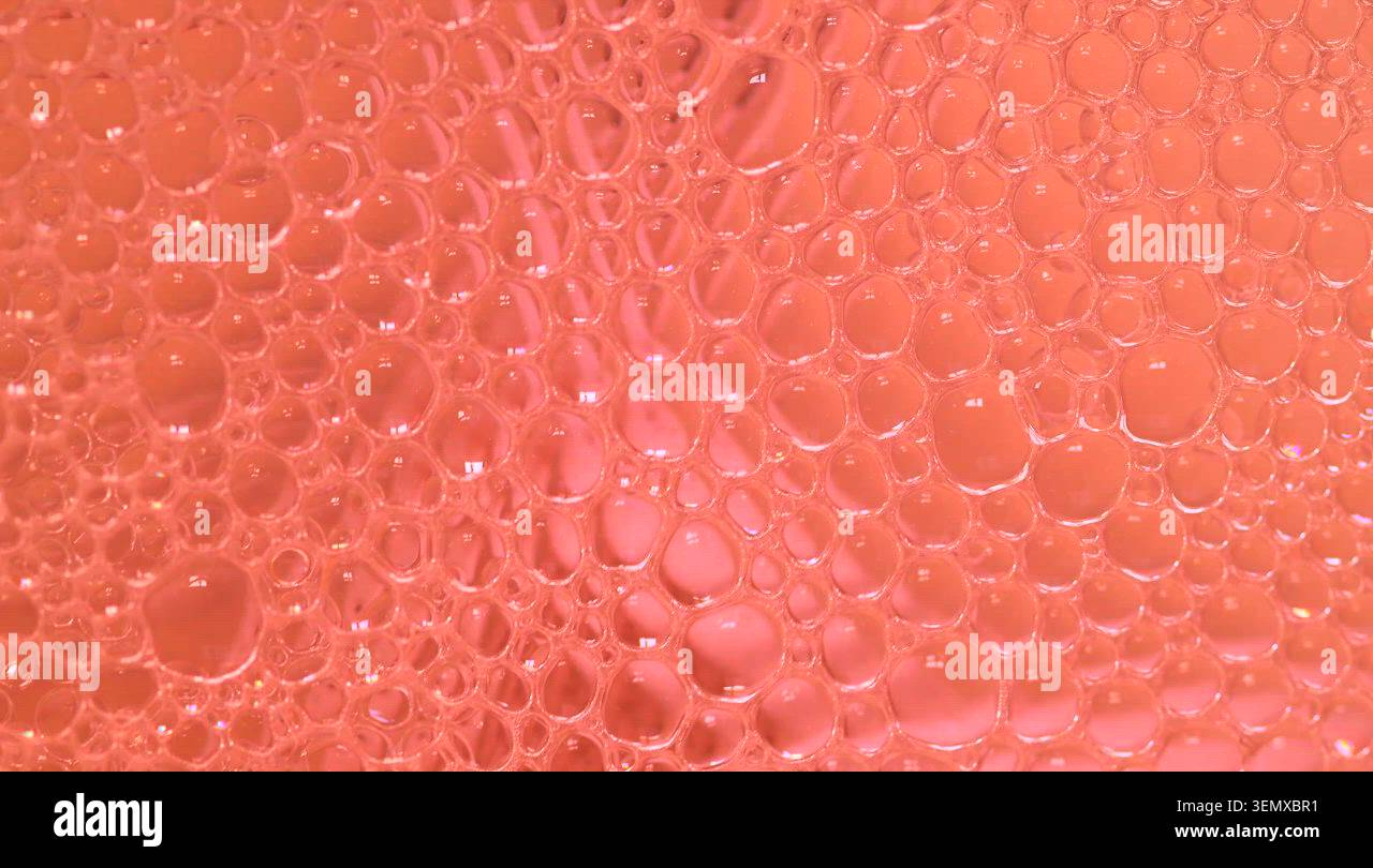 Pink Liquid Bubble Texture Background Stock Video Footage - Alamy