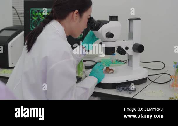 In laboratory quality control testing, food scientists and ...