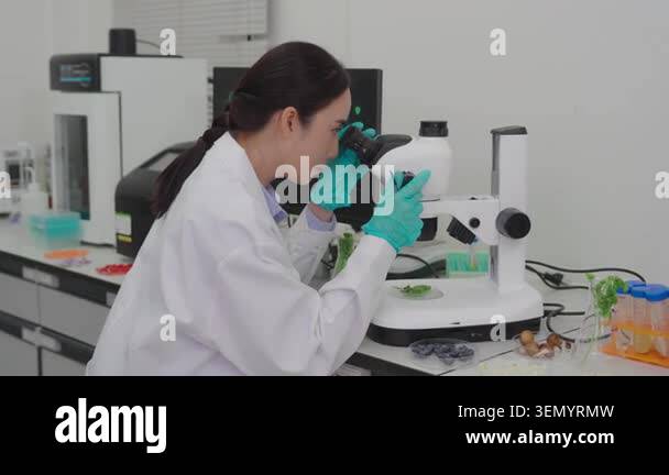 In laboratory quality control testing, food scientists and ...