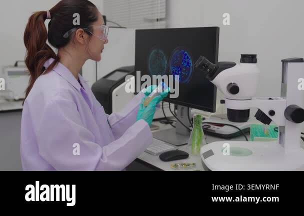In laboratory quality control testing, food scientists and ...