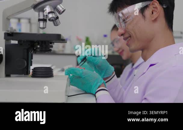 Food scientists test cultured or raw meat samples in a laboratory ...