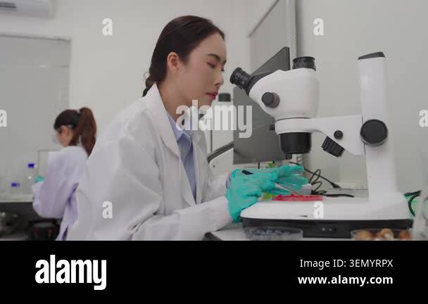 In laboratory quality control testing, food scientists and ...