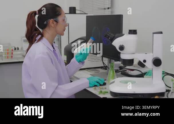 In laboratory quality control testing, food scientists and ...