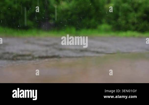 Raindrops falling onto a wet surface with blurred green vegetation in ...
