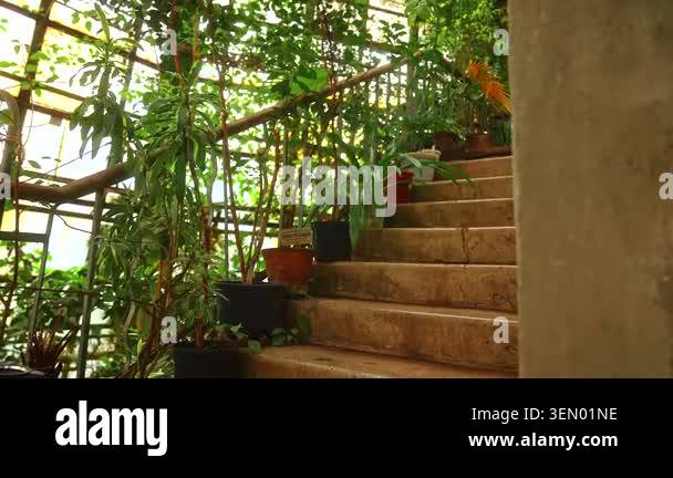 A rustic stone staircase beautifully adorned with lush green plants in ...