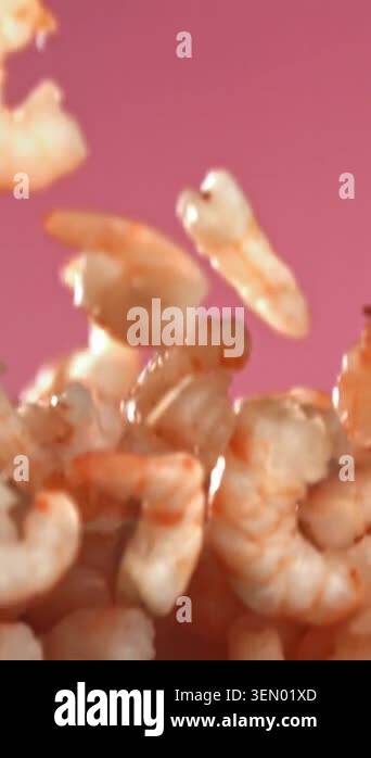 The shrimp fly up and fall down. Filmed on a high-speed camera at 1000 ...