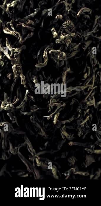 Dry tea flies up and down. Filmed on a high-speed camera at 1000 fps ...