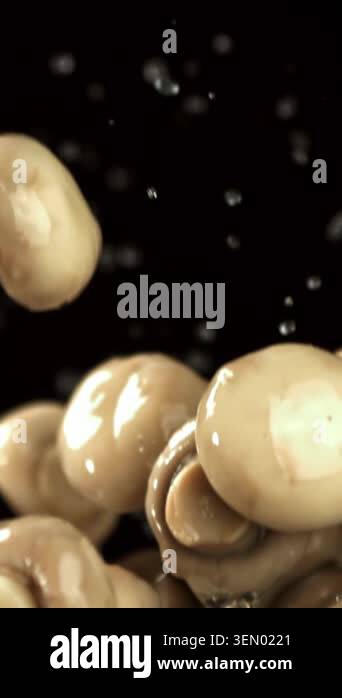Pickled mushrooms fly and fall on a black background. Filmed on a high ...