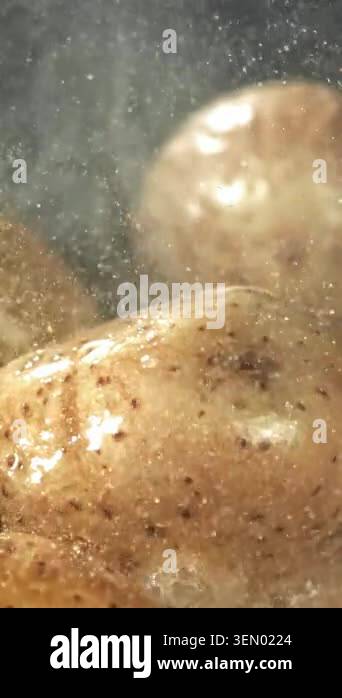The potatoes are fried in a large frying pan. Filmed on a high-speed ...