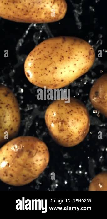 Potatoes rise and fall on a black background. Filmed on a high-speed ...