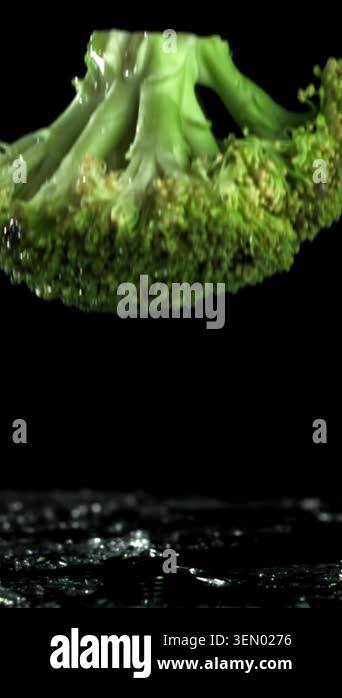 Broccoli falls on a wet table. Filmed on a high-speed camera at 1000 ...