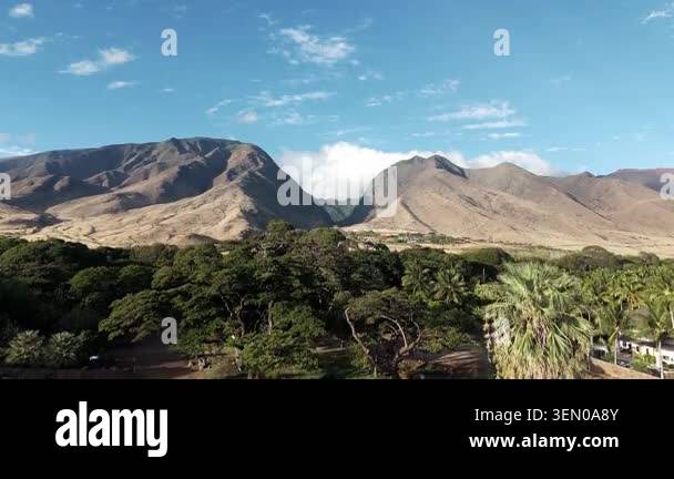 Aerial footage rising over tropical trees revealing West Maui Mountains ...