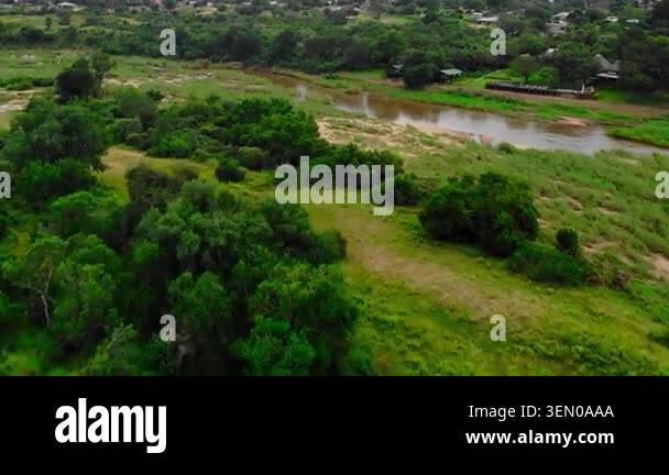 Aerial Riverbank Lush Green Wetland, Meandering Brown River Cutting ...