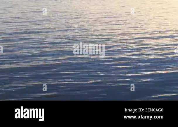 Rippling Water Surface at Sunset Stock Video Footage - Alamy
