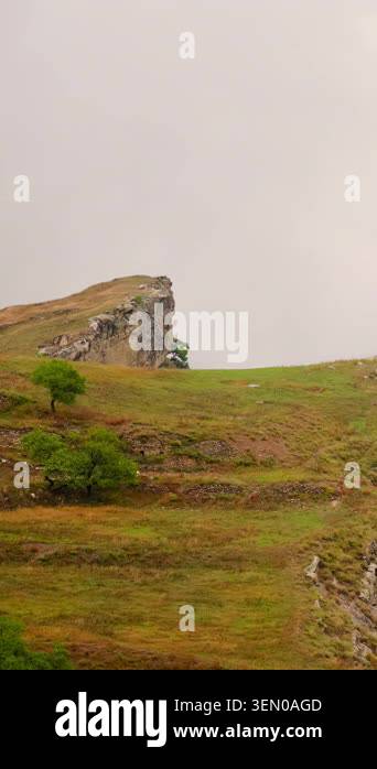 One tree at sunset, overlooking the mountain and warm light. Creative ...