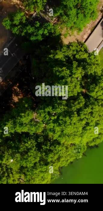 Aerial Riverside Street Shot With Trees, Sunlit Canopy, Parked Cars ...