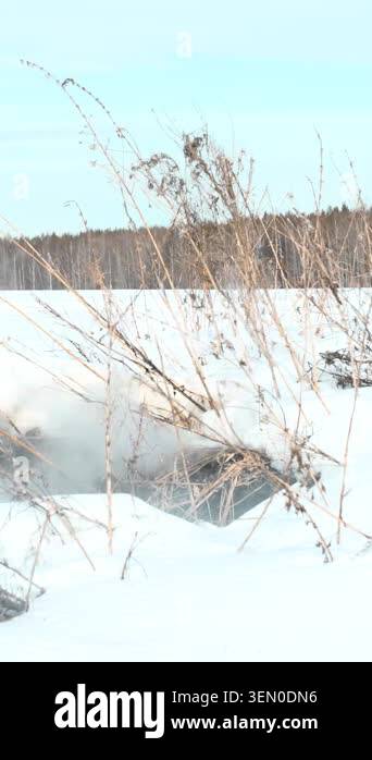 Snowy Field With Steaming Burrow, Tall Dry Grass, Pale Blue Sky ...