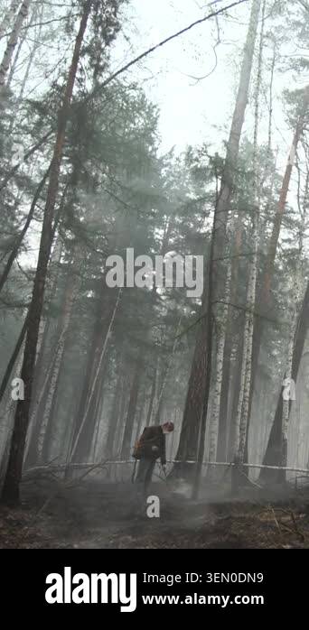 Foggy Birch Forest Distant Firefighter Silhouette Walks Through Smoky ...