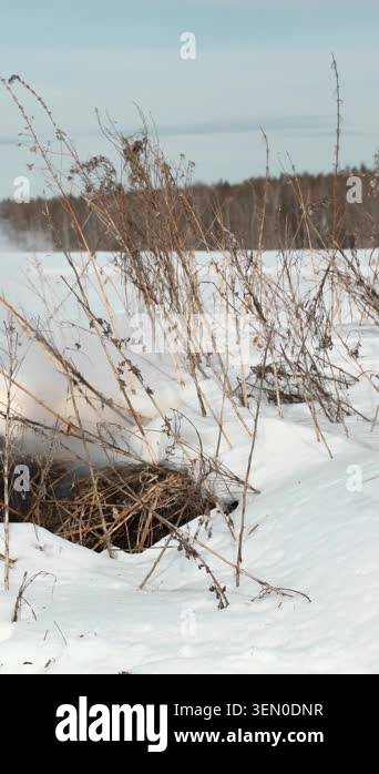 Bulldozer Digging Frozen Earth In Snow, Heavy Machinery Clearing Snow ...