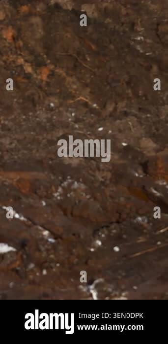 Snow And Soil Pushed By Bulldozer, Closeup Of Frozen Earth Layers With ...