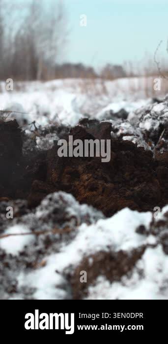 Muddy Snow Foreground With Barren Field, Late Winter Melt Exposing Dark ...